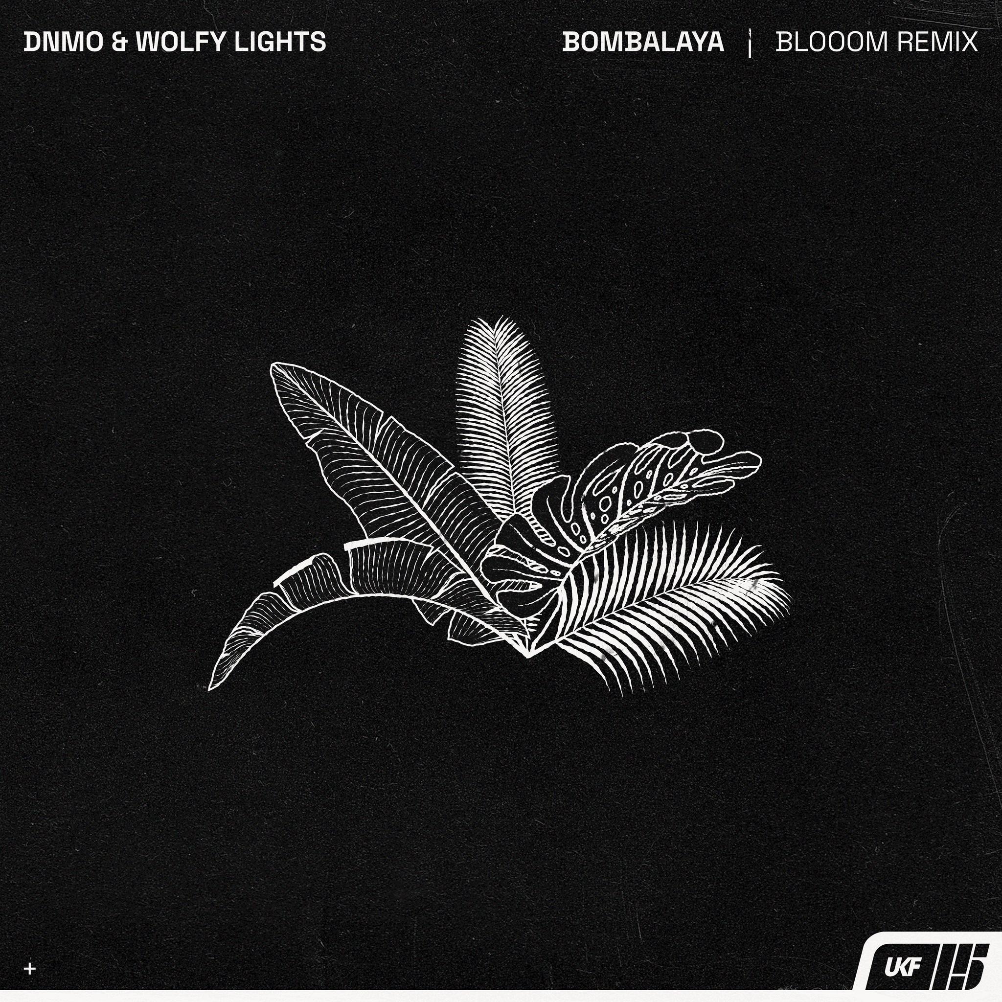 DNMO, Wolfy Lights - Bombalaya (Blooom Remix) • UKF